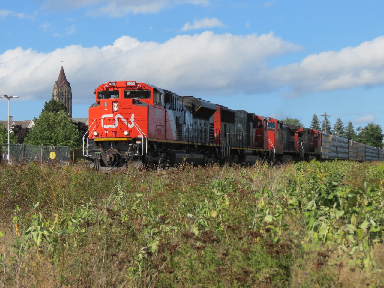 Railpictures.ca - Rocki Photo: Out of the brush and into the sunlight, CN train A407 charges up ...
