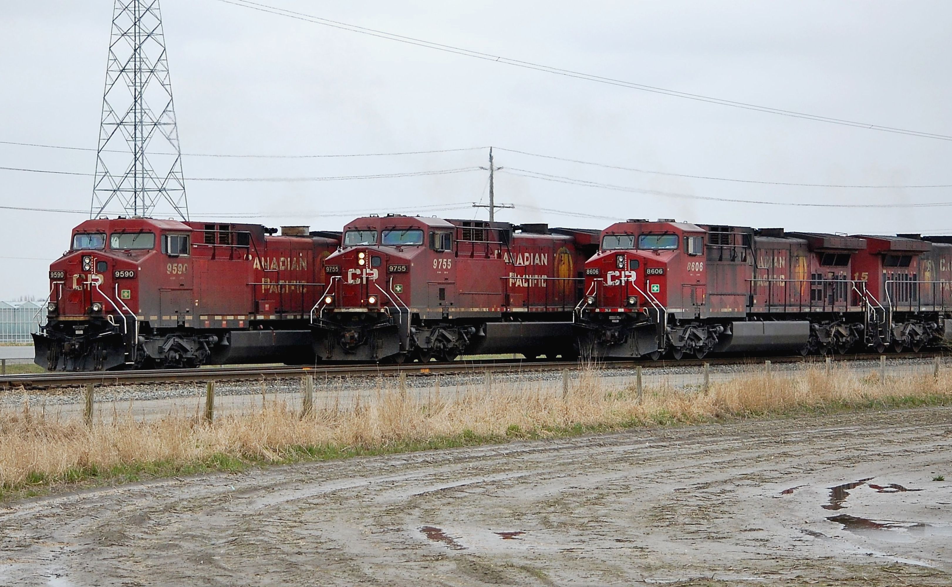 Railpictures.ca - richard hart Photo: A meeting of “Beavers” outside Roberts Bank. CP 9590 has ...