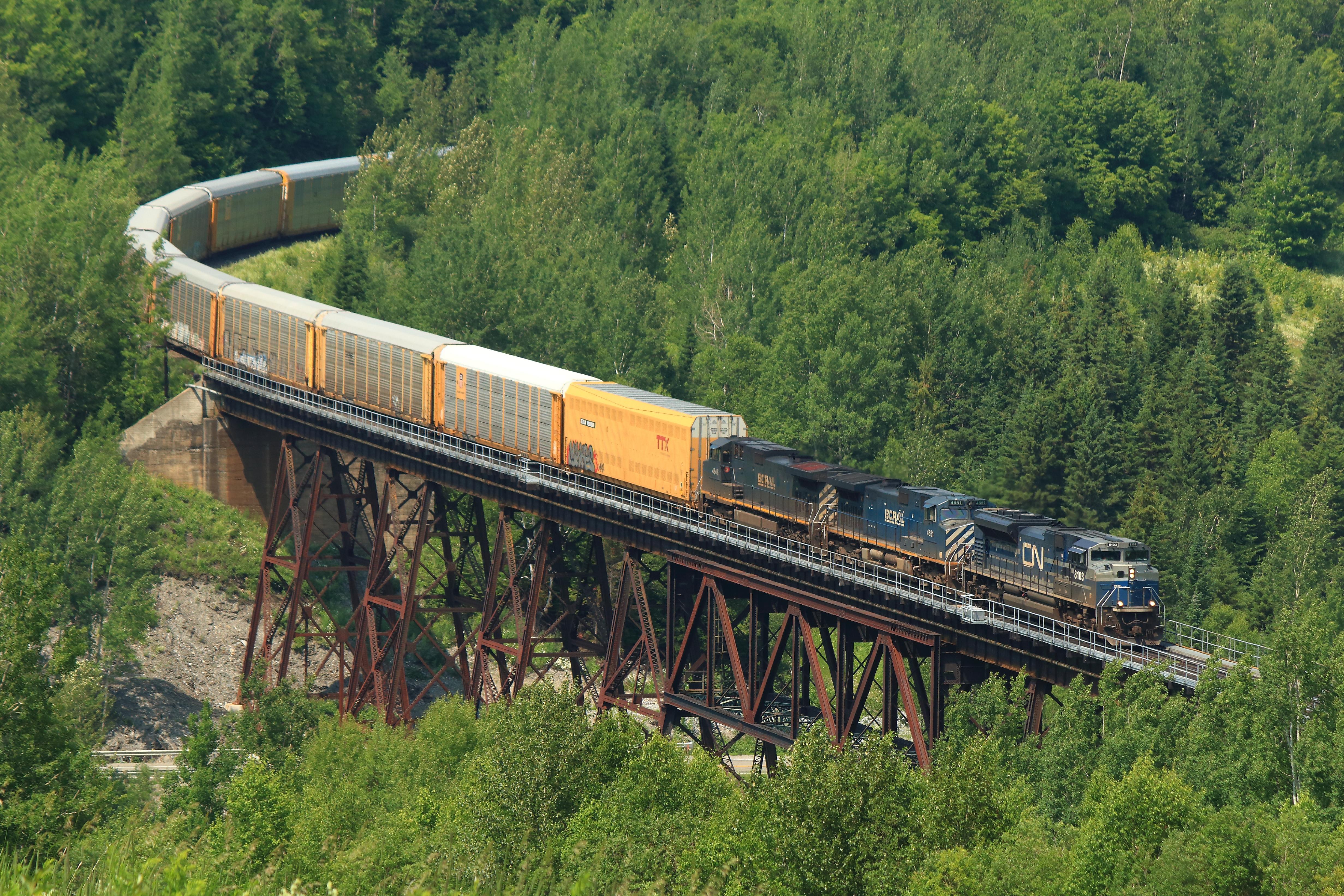 Railpictures.ca - Matt Landry Photo: A bit of a hike to get here, but it was worth it. CN 8103 ...