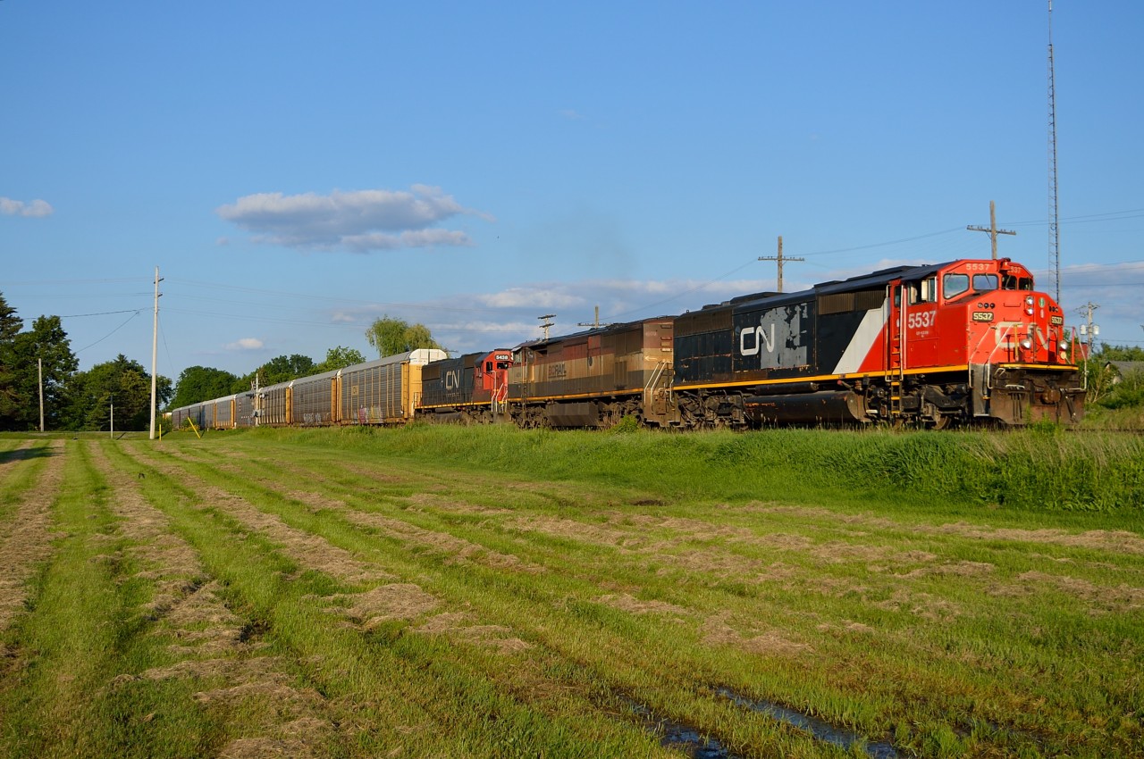 Railpictures.ca - Joseph Bishop Photo: CN 399 blasts through Lynden with a stellar consist of CN ...