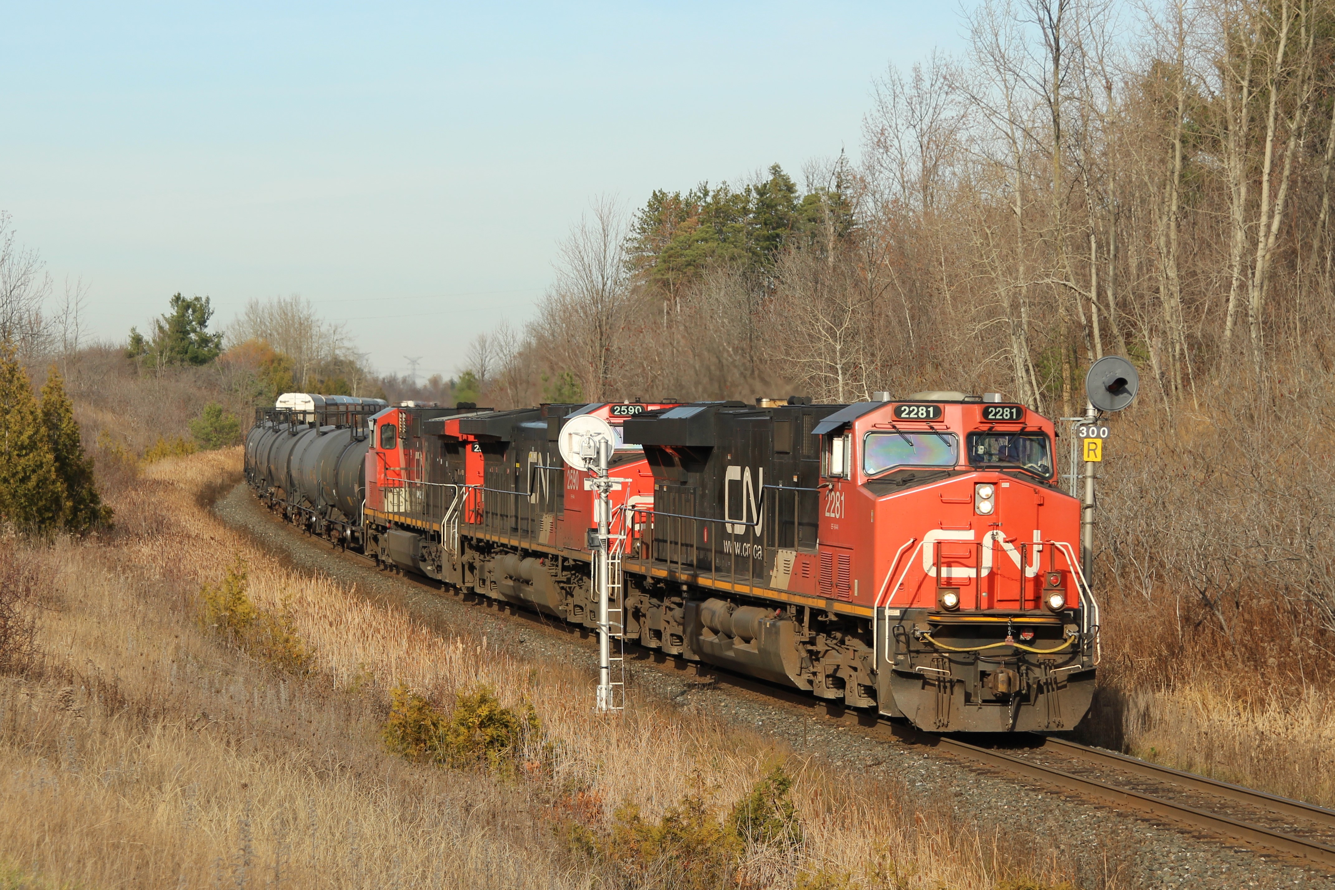 Railpictures.ca - BPurdy Photo: With the fall colours gone and the winter brown invading, CN ...