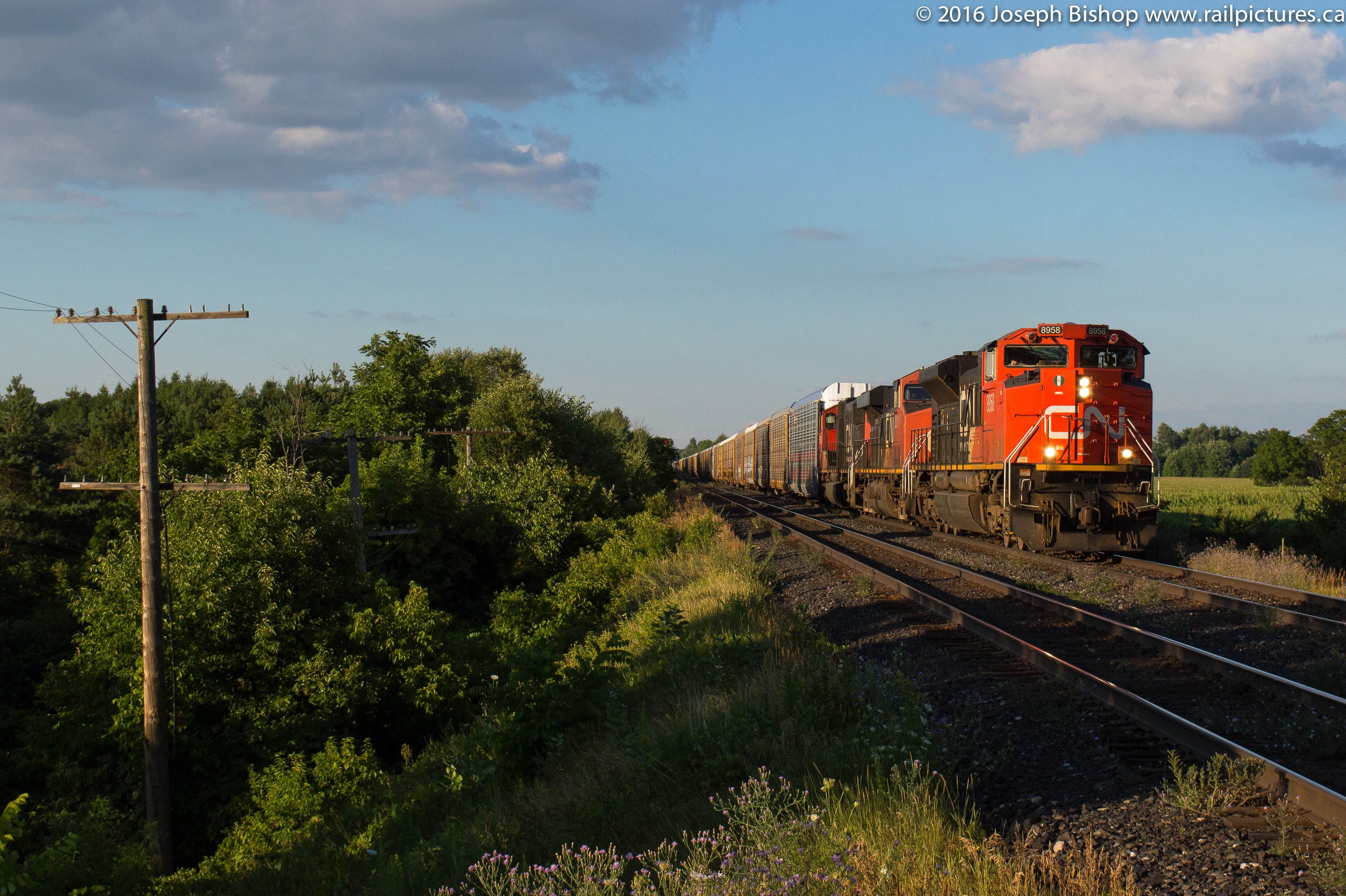 Railpictures.ca - Joseph Bishop Photo: CN 399 roars towards Powerline Road West between Lynden ...