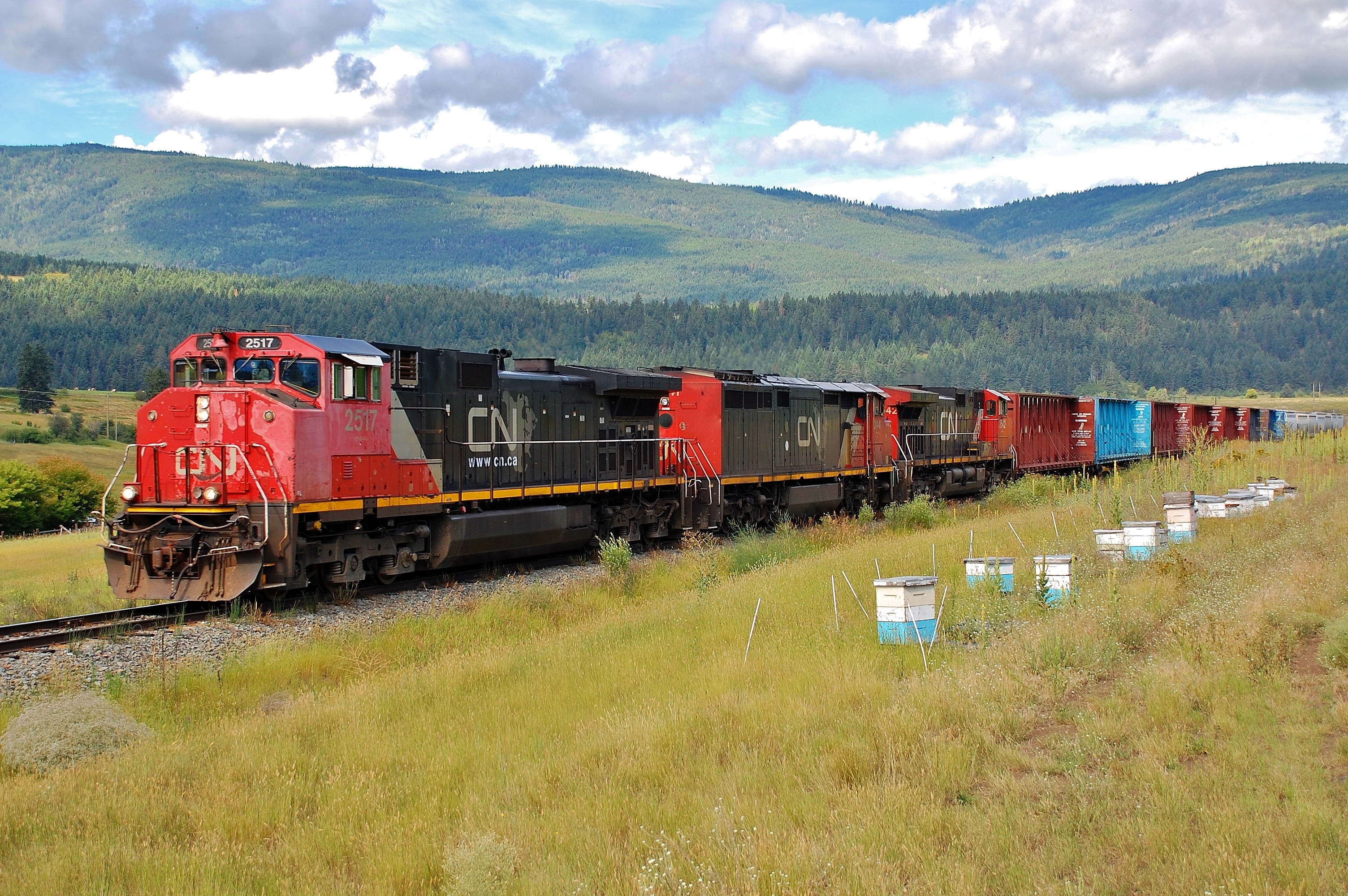 Railpictures.ca - Richard Hart Photo: CN nos.2517,2441&2542 are crossing “Grandview Flats” with ...
