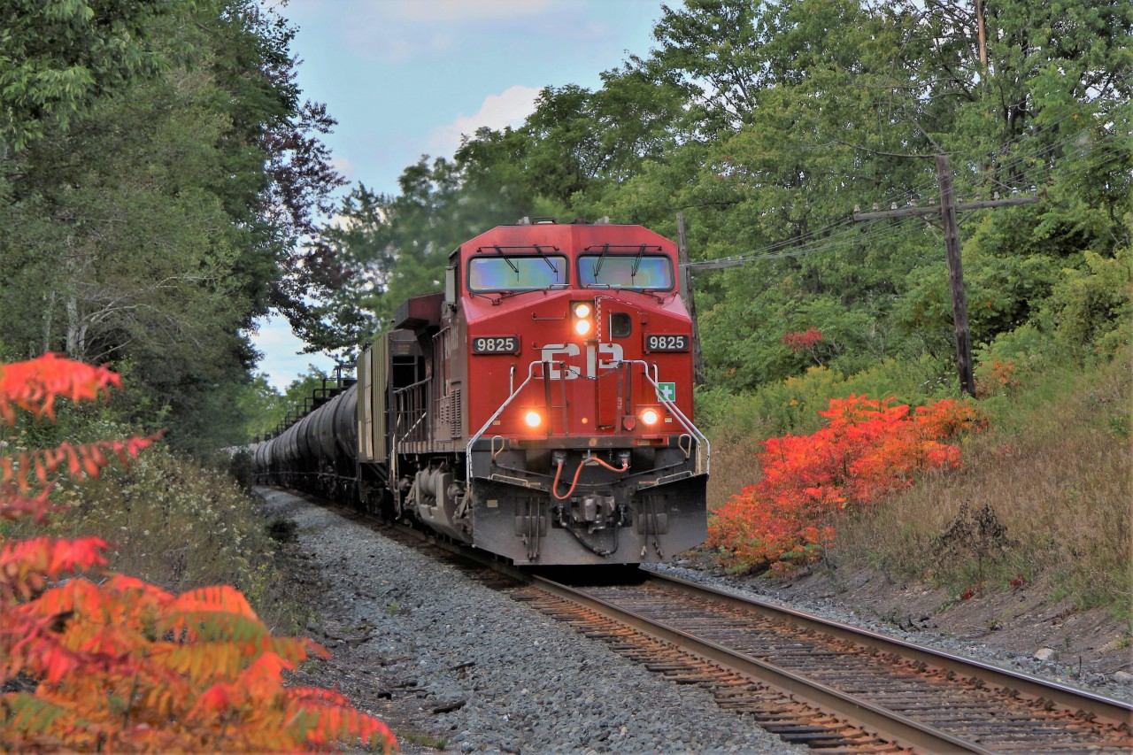 Railpictures.ca - BPurdy Photo: CP 650 led by CP 9825 travels on through Puslinch with CP 8600 ...
