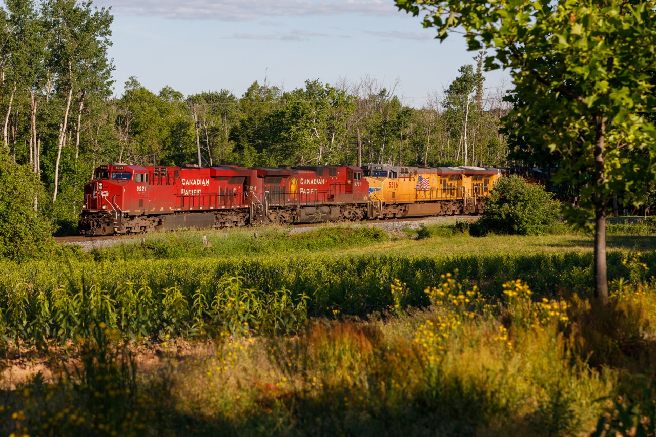 Railpictures.ca - Ryan Gaynor Photo: On a gorgeous June morning, Canadian Pacific train no. 143 ...