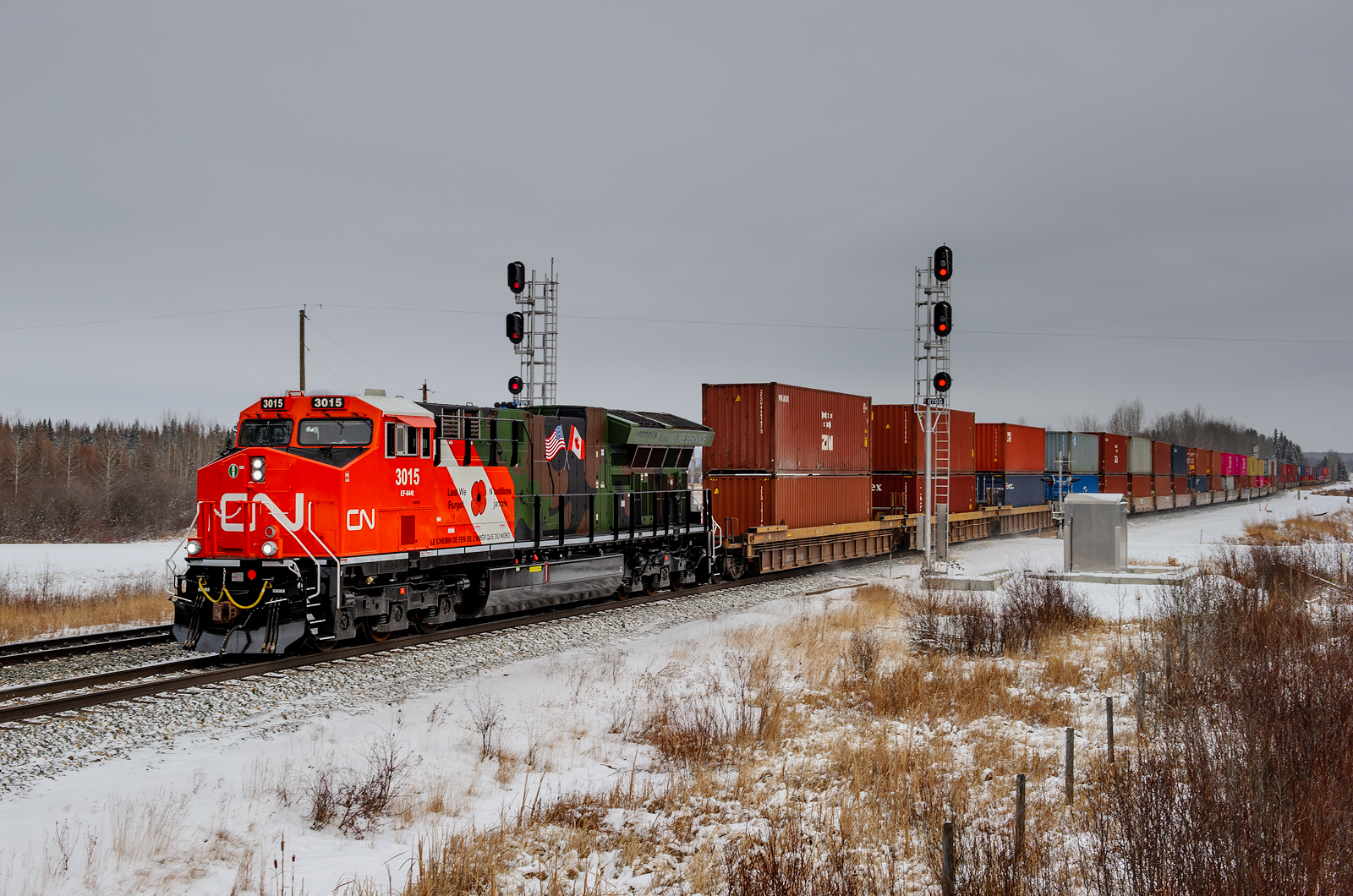 Railpictures.ca - Tim Stevens Photo: Painted to Honour our Veterans, CN ET44AC 3015 leads train ...