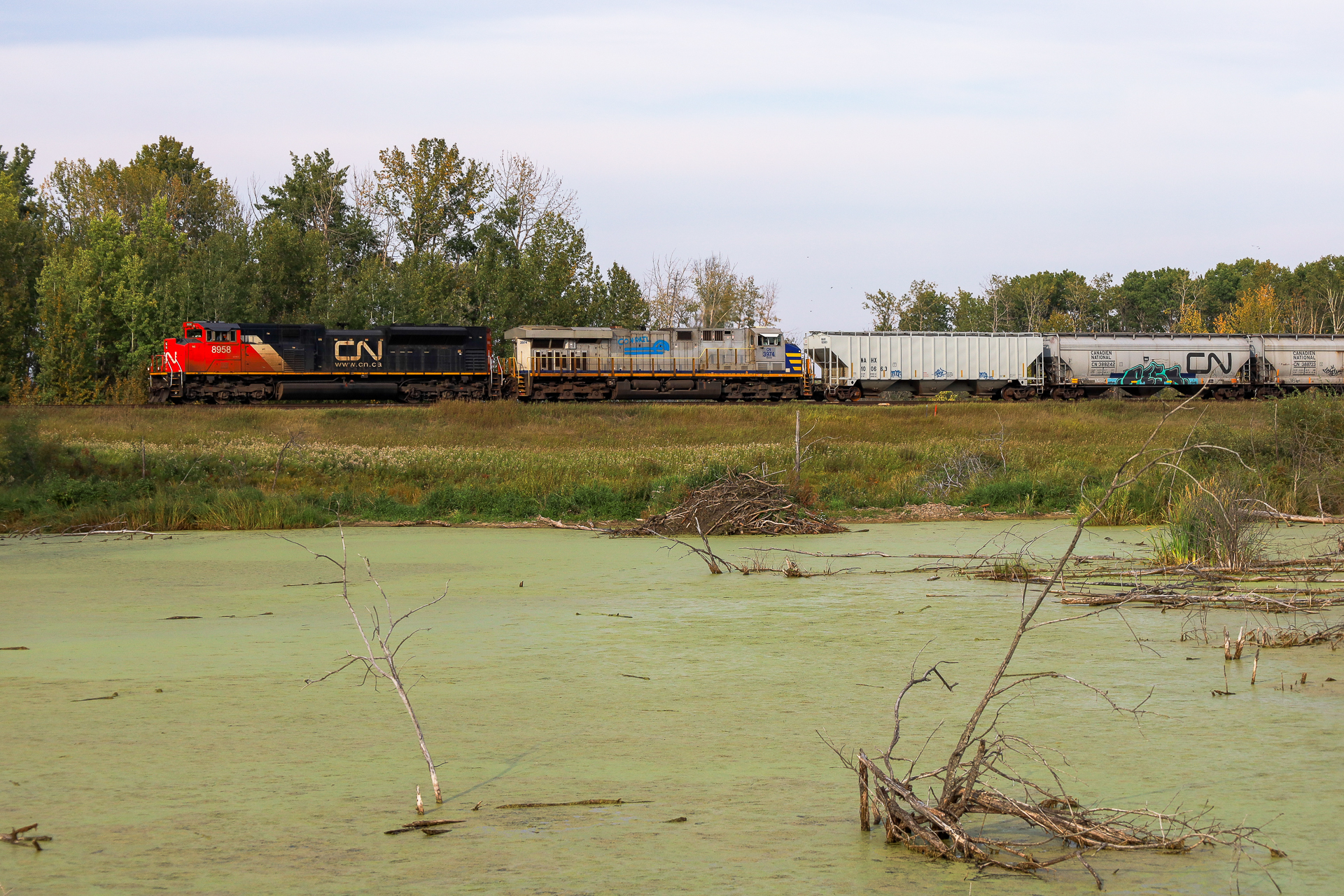 Railpictures.ca - Rob Eull Photo: M 31151 16 rolls past some muskeg between Carvel and Duffield ...