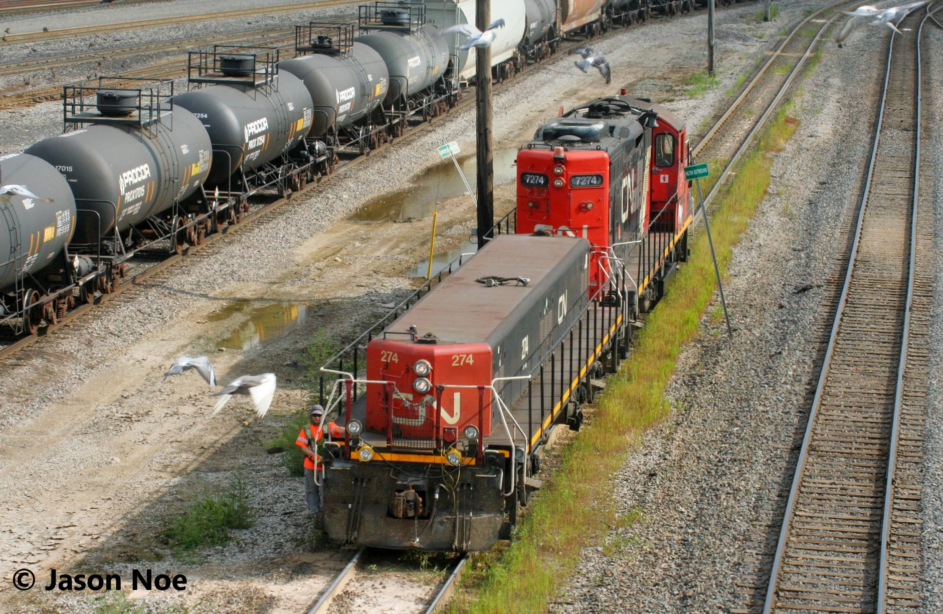 Railpictures.ca - Jason Noe Photo: Birds take flight as CN GP9RM 7274 and GP9 Slug 274 are seen ...