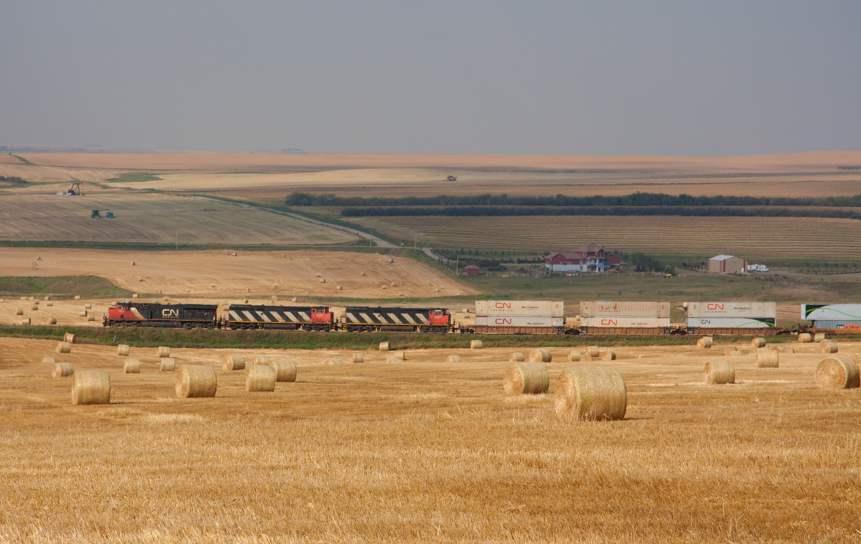 Railpictures.ca - Cam Leonard Photo: Wheat fields as far as the eye can ...