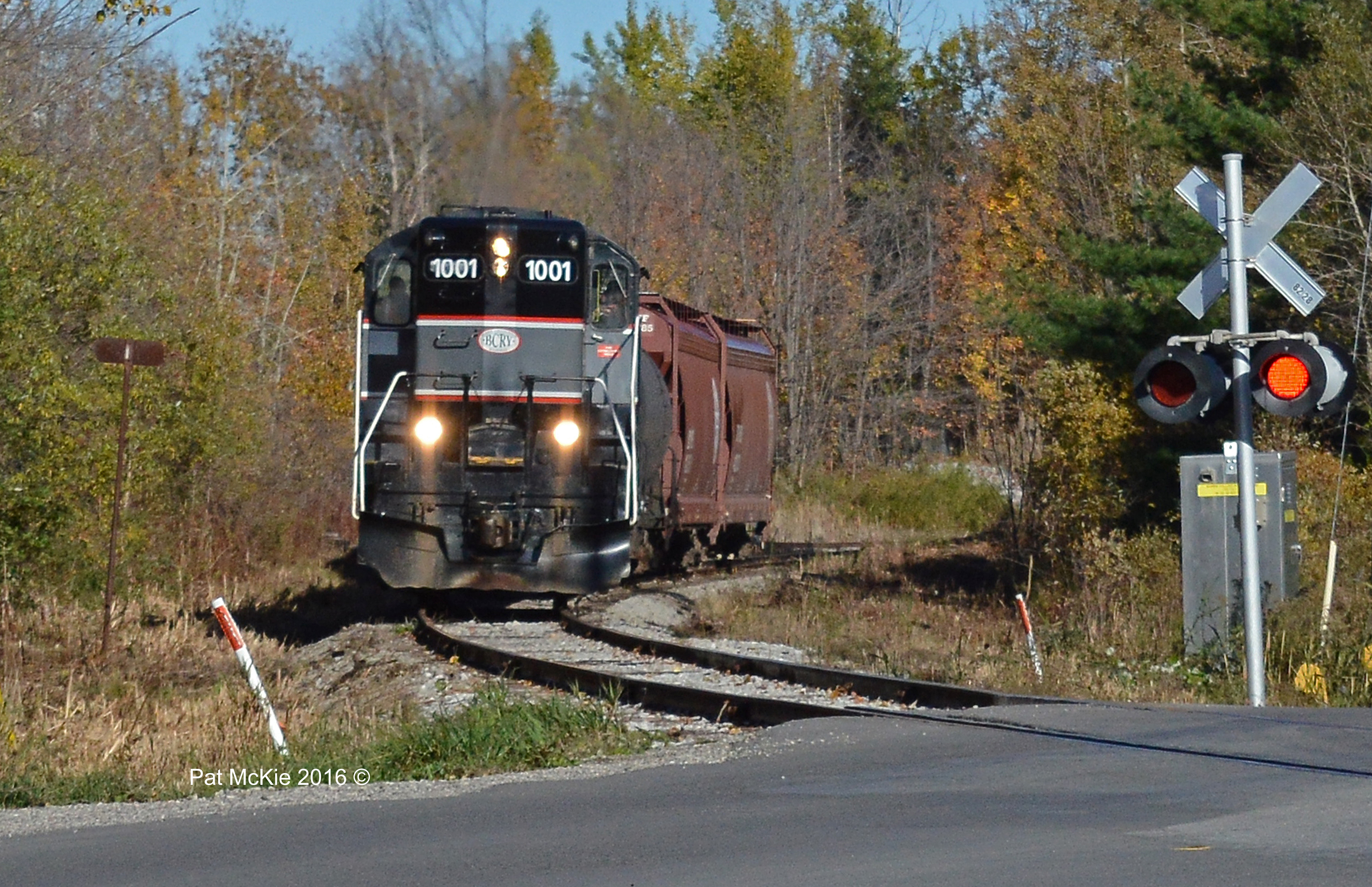 Railpictures.ca - P McKIE Photo: BCRY 1001 hauls its 4 car train across ...
