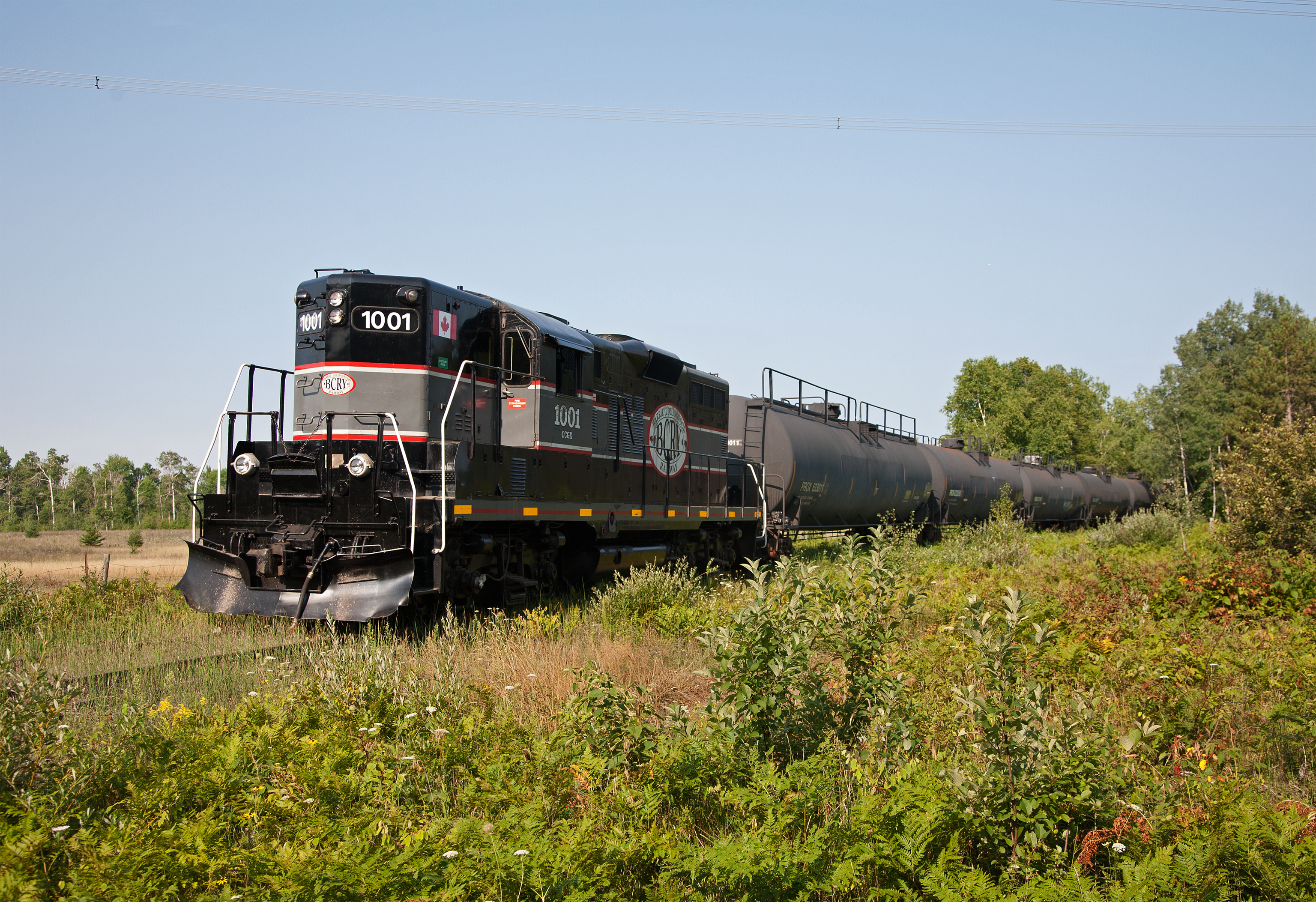 Railpictures.ca - Steve Bradley Photo: CCGX 1001, the regular BCRY high ...