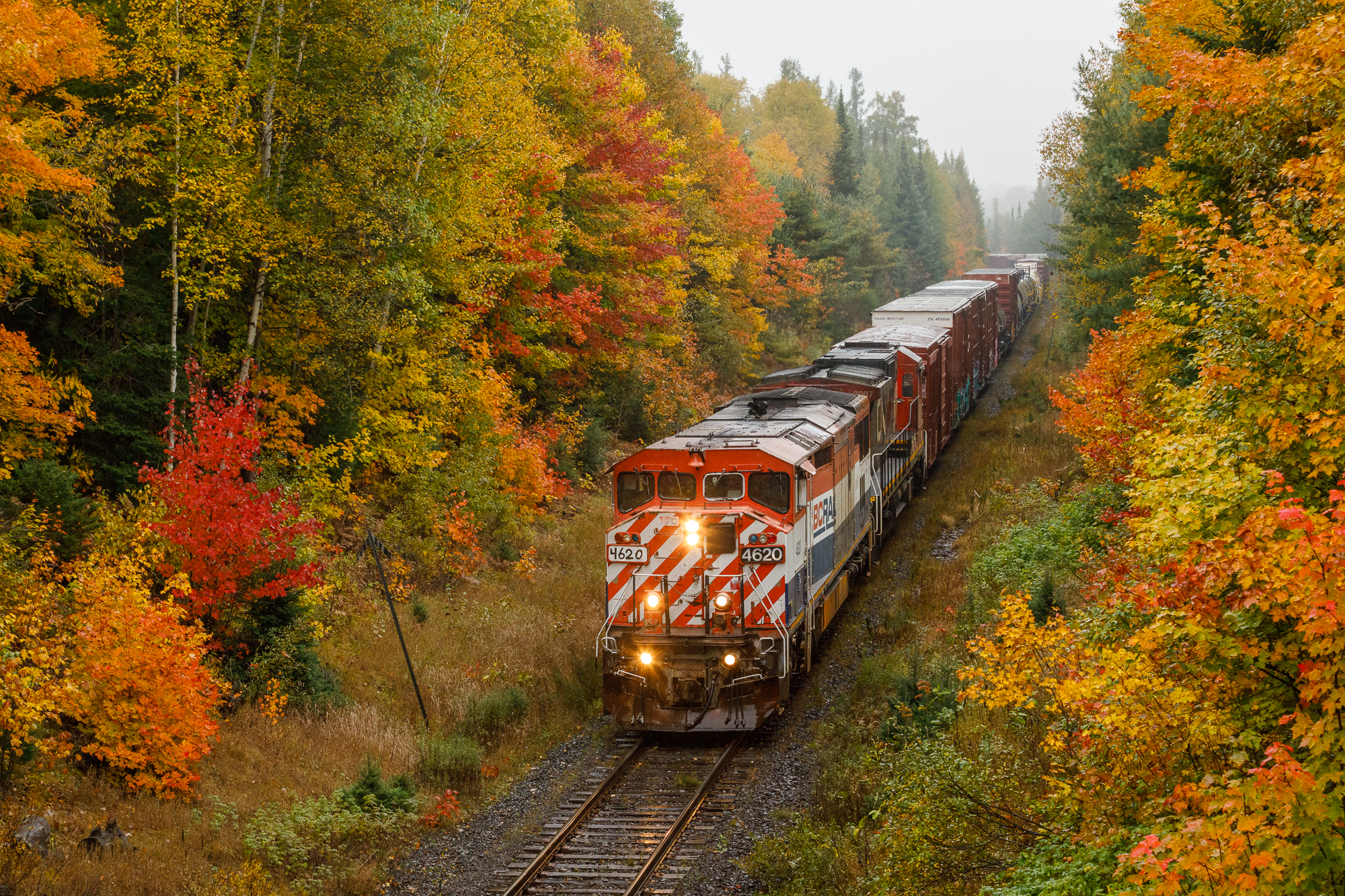 Railpictures.ca - Ryan Gaynor Photo: Toronto to North Bay train no. 451 ...