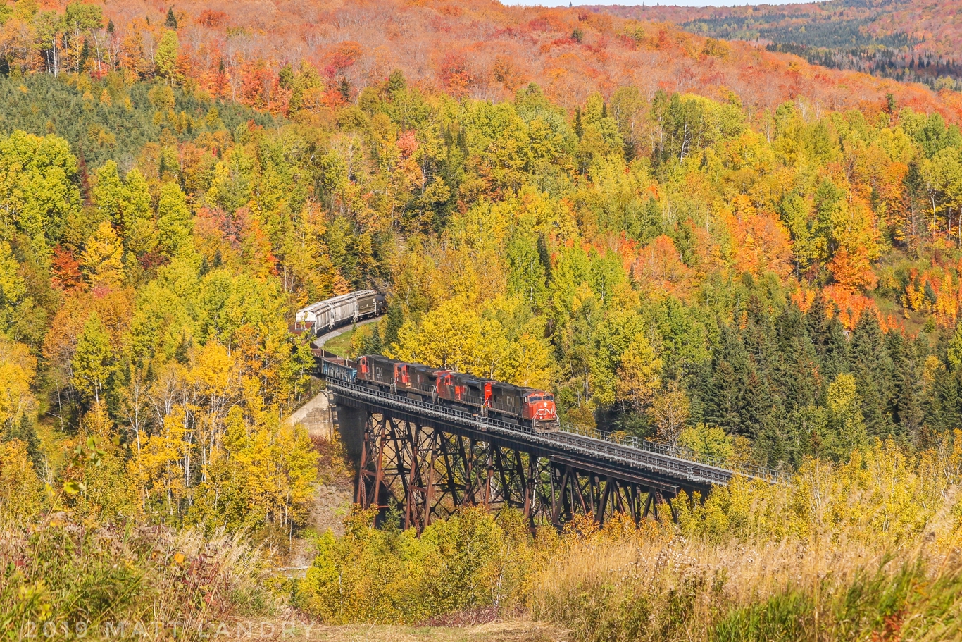 Train In Canada Colors For Fall