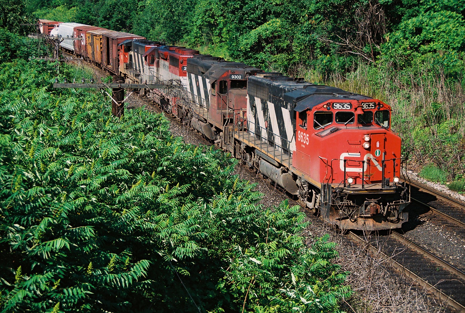 Railpictures.ca - Carl Noe (Collection of Jason Noe) Photo: During an ...