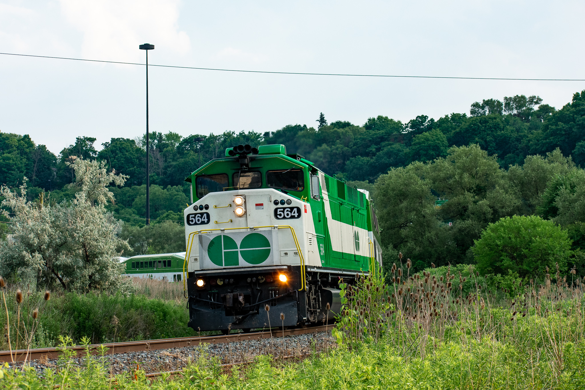 Railpictures.ca - Liam MacDougall Photo: GO F59PH # 564 winds through ...