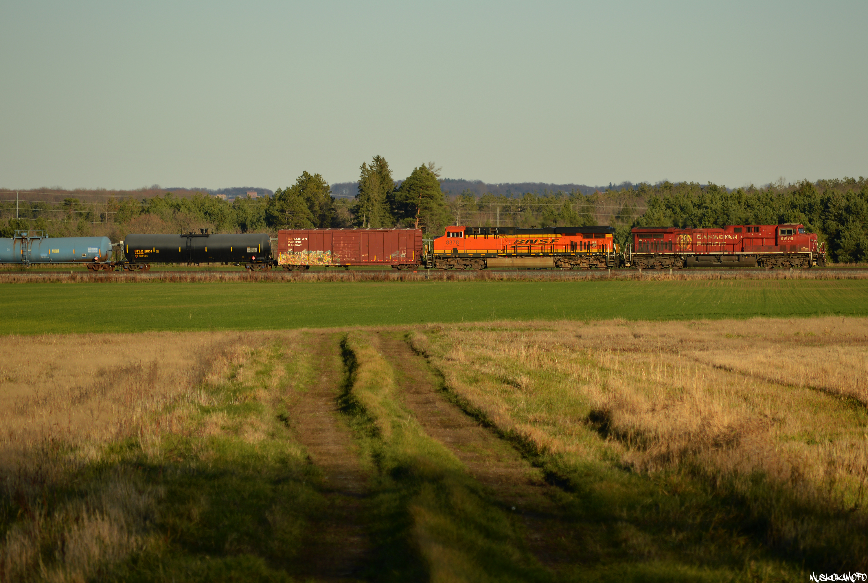 Railpictures.ca - MuskokaMoFo Photo: After lifting 5 cars from the BCRY ...
