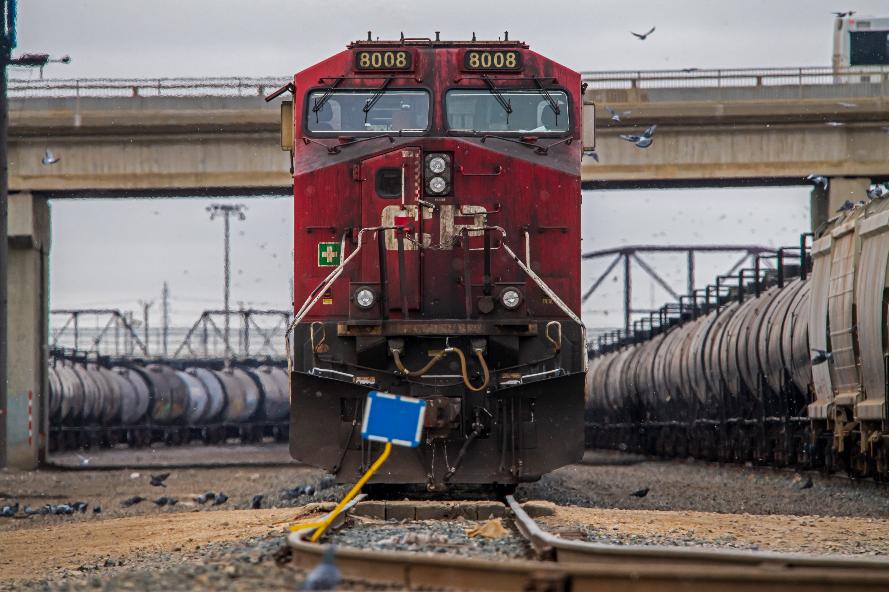 Railpictures.ca - Darcy Woodhall Photo: A coal dust covered CP 8008 ...